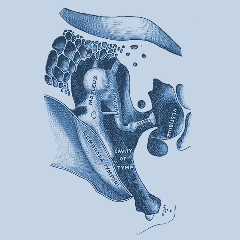 Patient Education Ear Diseases – Wichita Ear Clinic